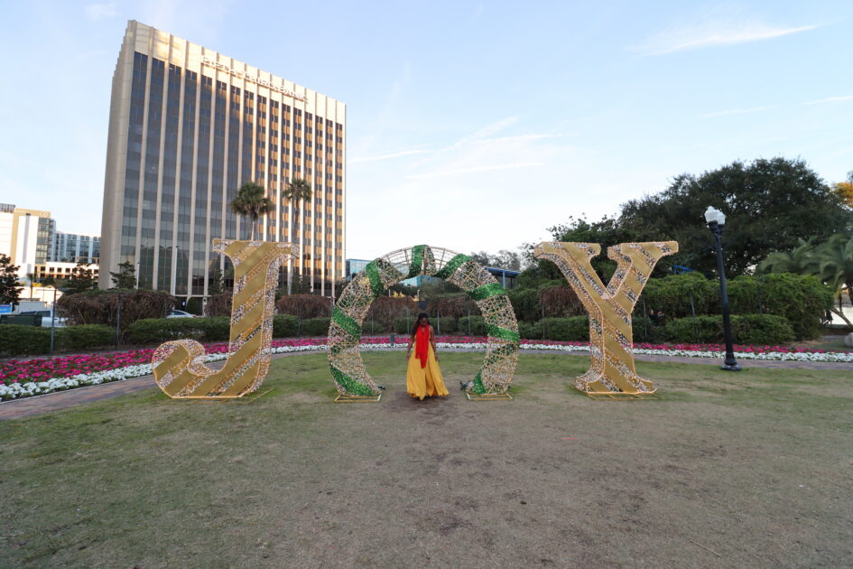 Holiday Season on Long Island - Toya's Truths